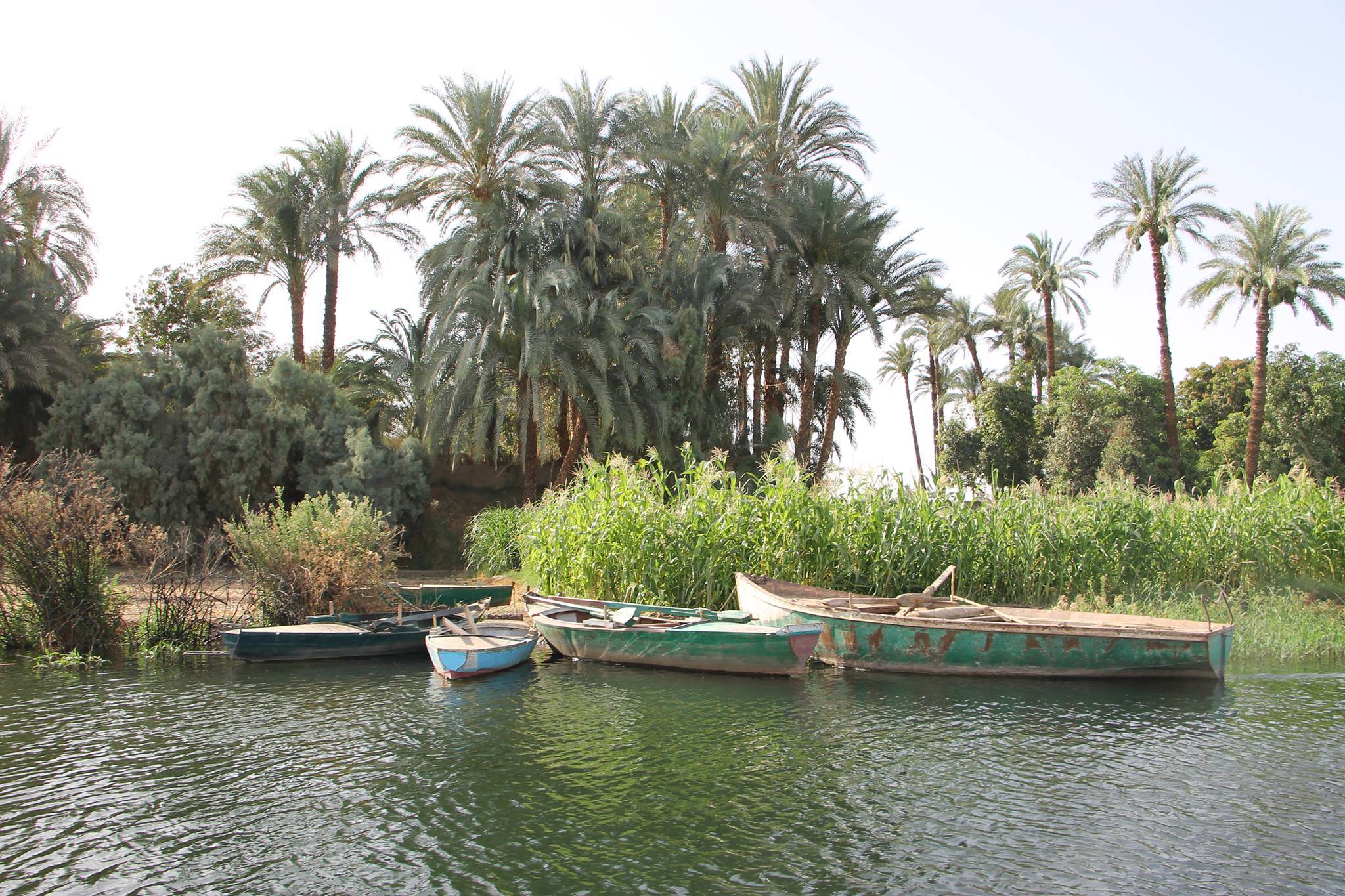 Armant - Explore Luxor