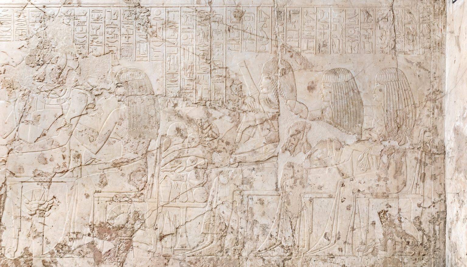 Luxor's Cats: Descendants of those loved by the Pharaohs - Explore Luxor