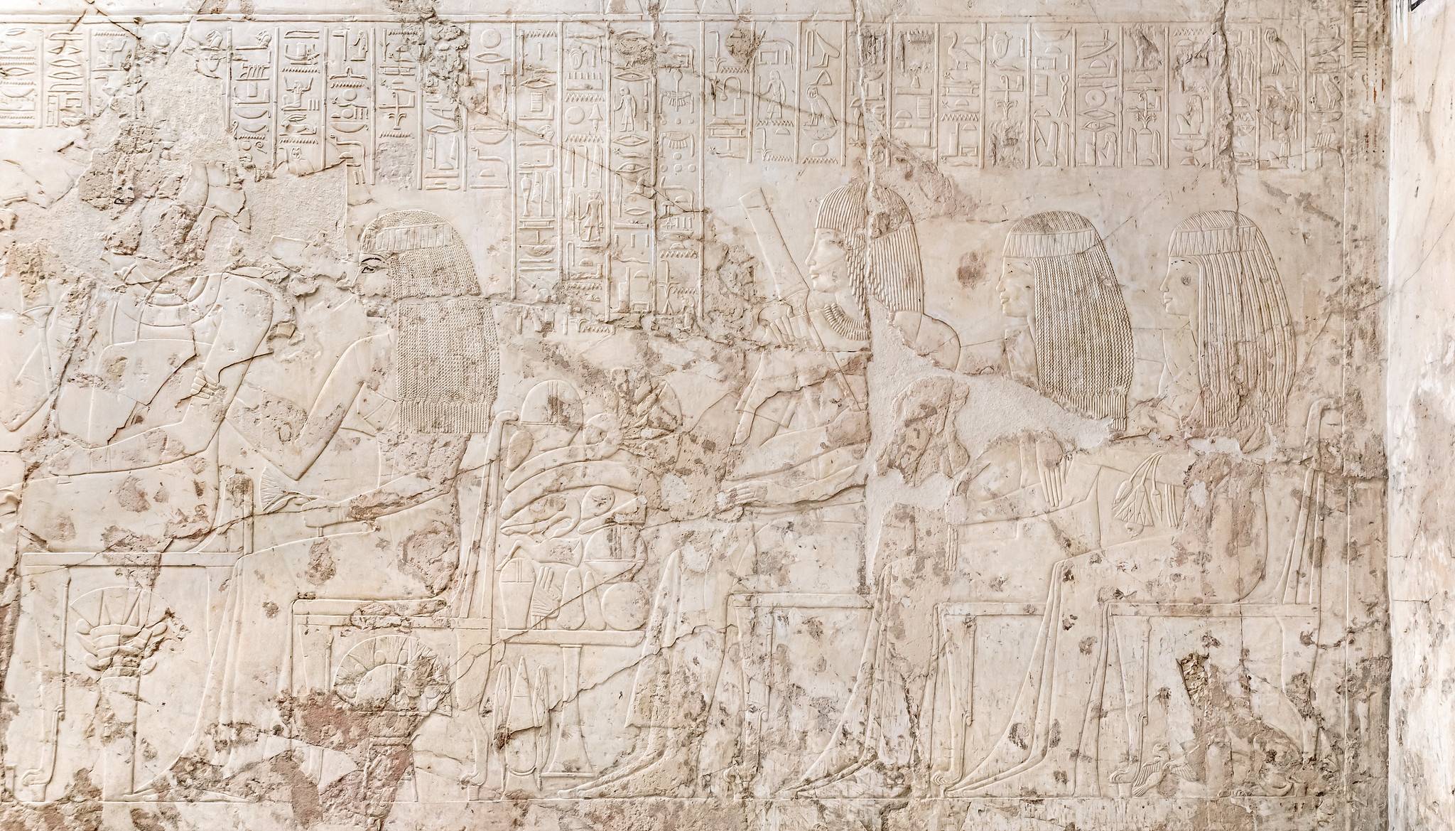 Luxor's Cats: Descendants of those loved by the Pharaohs - Explore Luxor