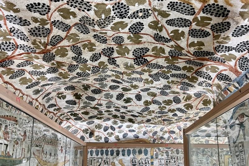 Tomb of Sennefer, TT96 - Explore Luxor